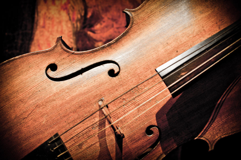 Nos Conseils Pour Progresser en Violon ! | Superprof